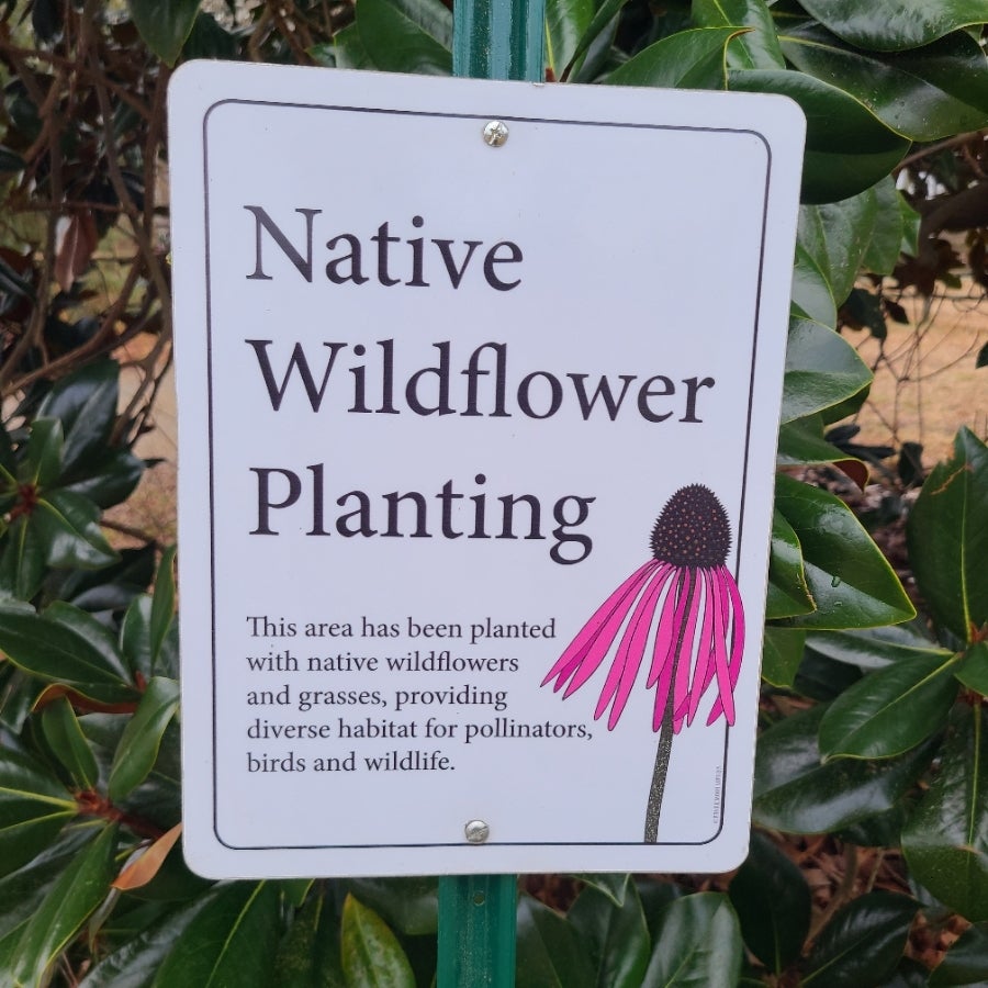 Native Wildflower Planting Sign With Stake | Southern Branch Nursery